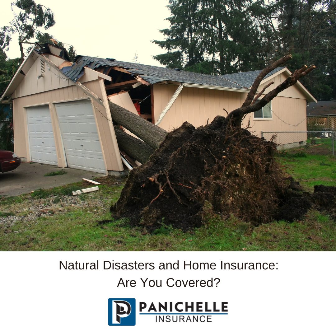 Natural Disasters and Home Insurance: Are You Covered? - Panichelle ...